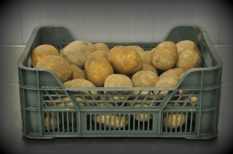 Mulgi Mugul OÜ - Toidukartul