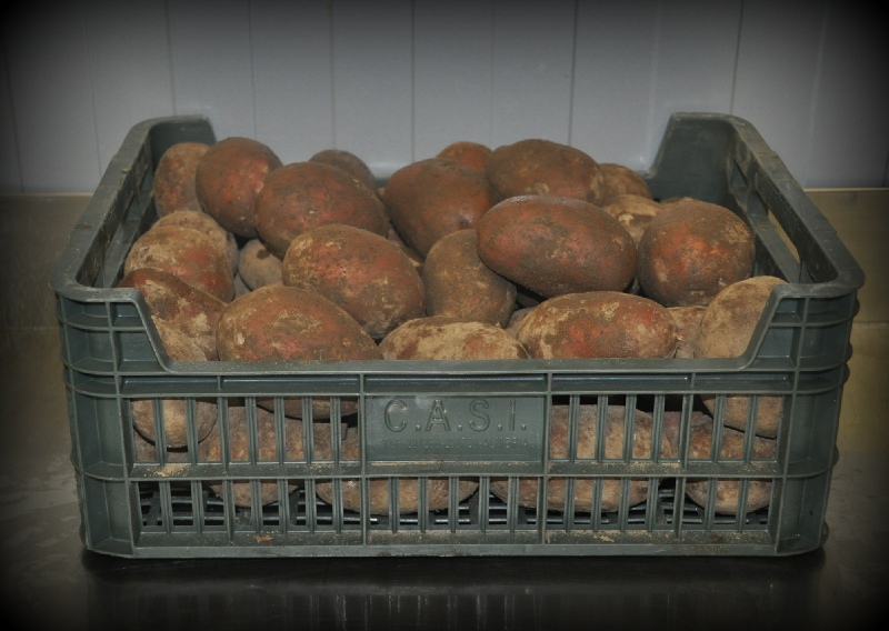 Mulgi Mugul OÜ - Toidukartul